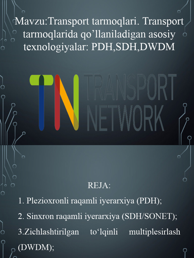 Slayd Kompyuter Tarmoq | PDF