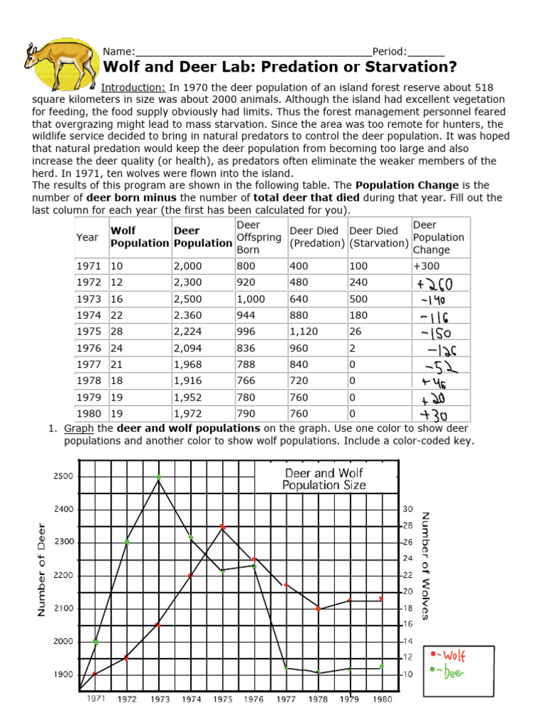 Wolf and Deer - Predation or Starvation | PDF | Predation | Deer