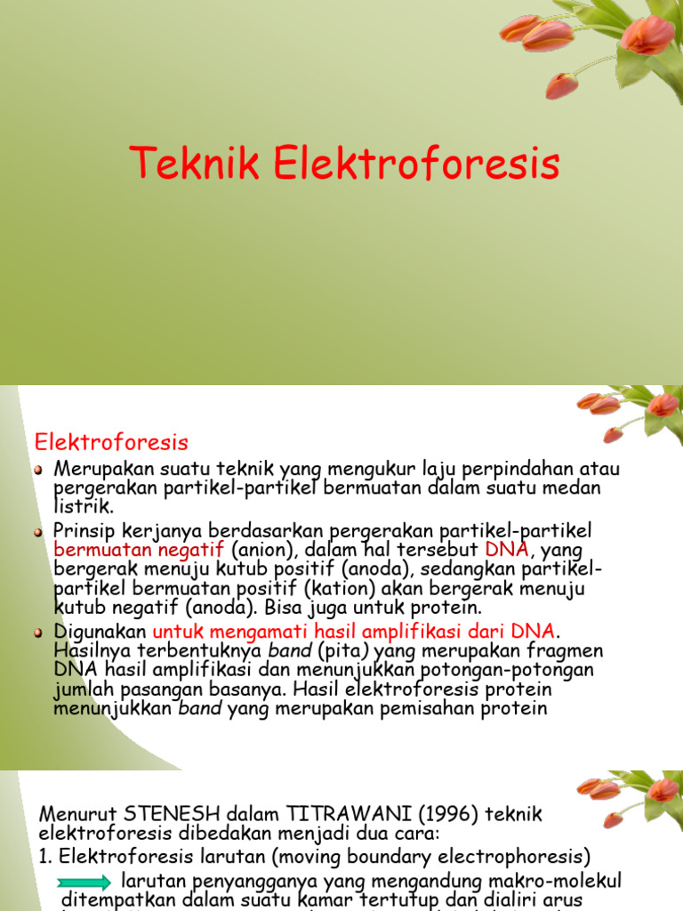 Teknik Elektroforesis | PDF