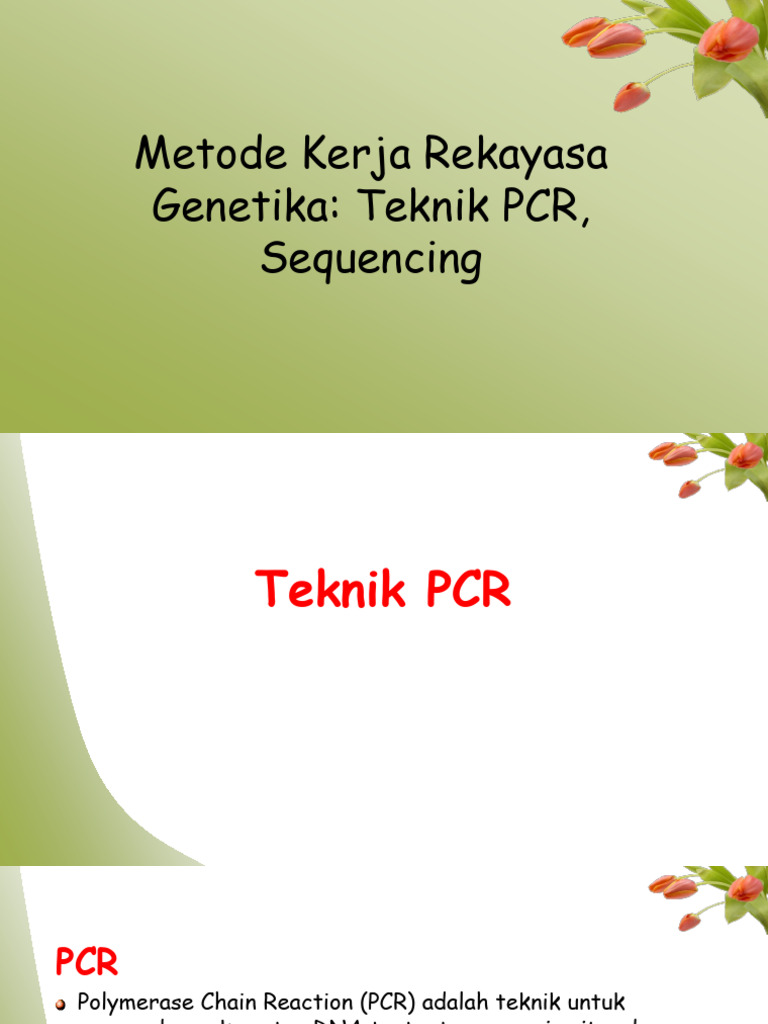 Teknik PCR, Sequencing | PDF | Sains & Matematika