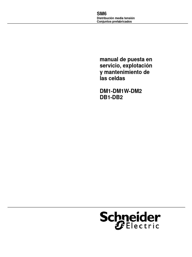 JLJ3935043 - Indice B - Manual Celdas DM1-DM1W-DM2-DB1-DB2 | PDF | Tornillo | Transformador