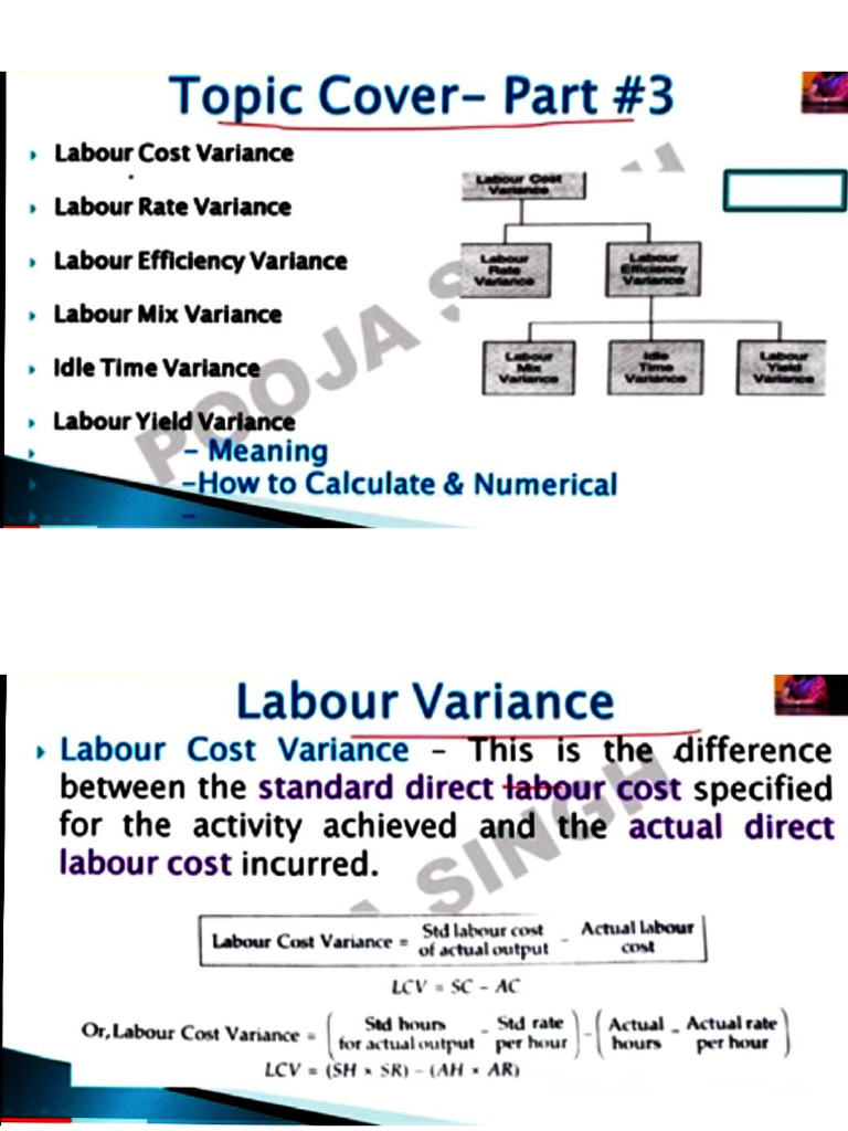Document Labor Variance | PDF