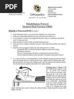 Pendulum Exercises For Shoulder: Learn More About Your Health Care | PDF