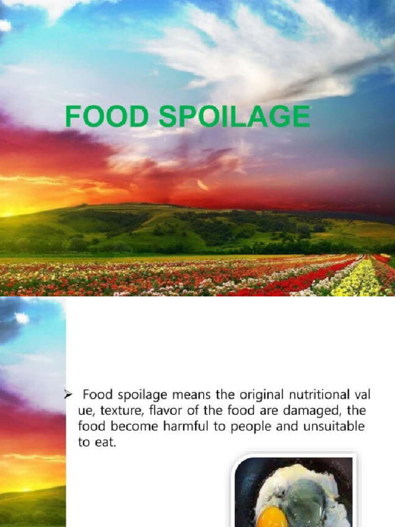 Food Spoilage | PDF
