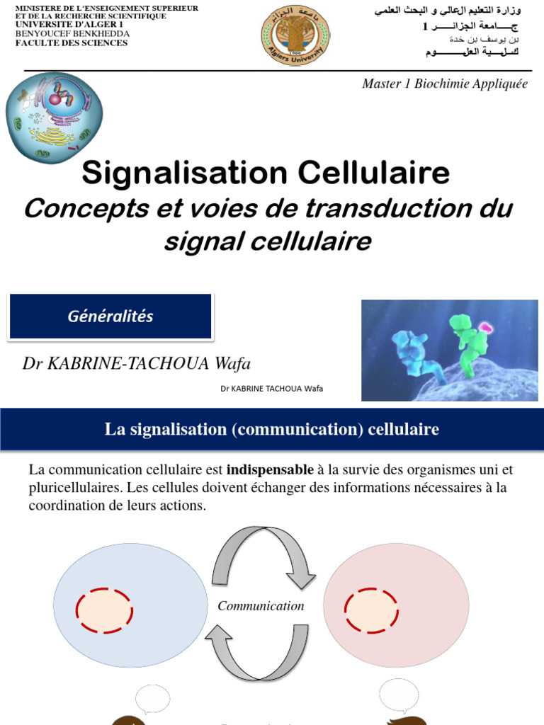 Voies de Signalisation Cellulaire | PDF | Signalisation cellulaire ...