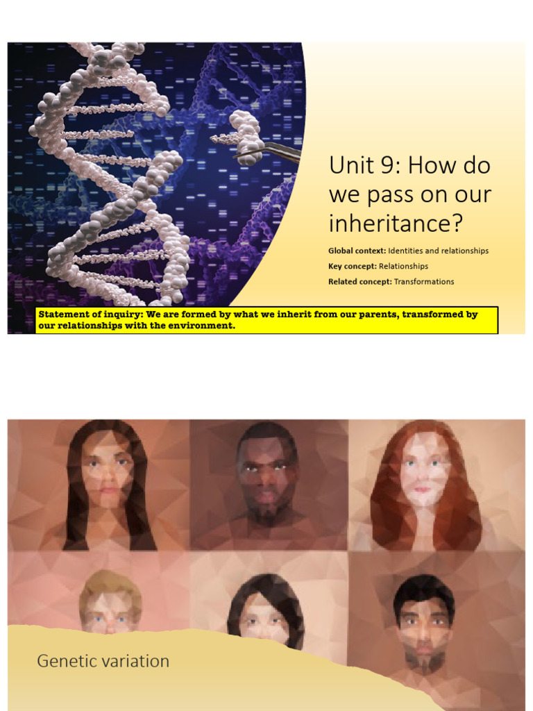 Genetic Variation | PDF | Genetics | Dominance (Genetics)