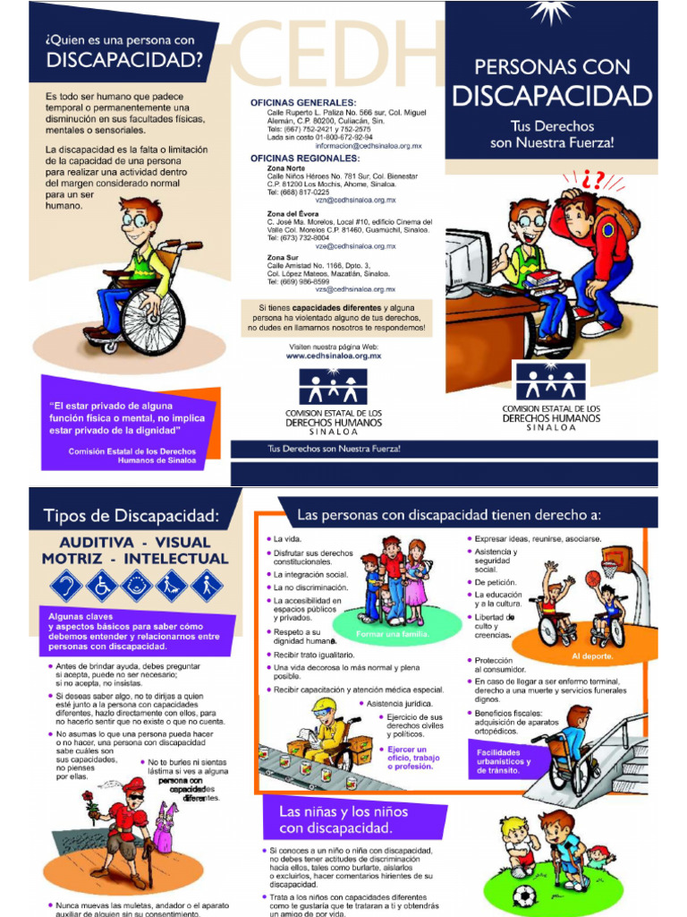 Derechos Humanos de Las Personas Con Discapacidad | PDF