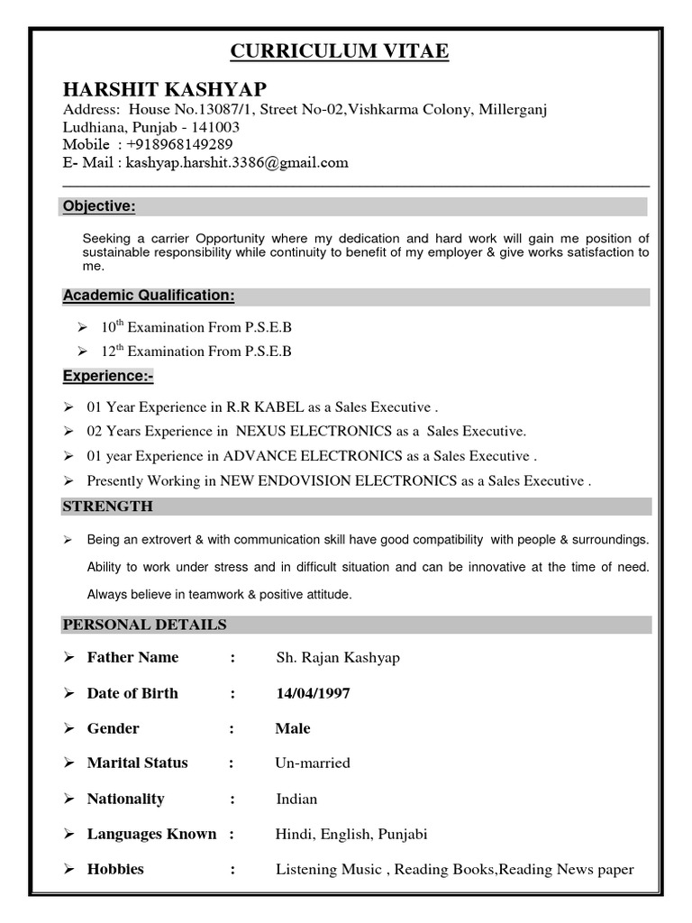 Sales Executive Career Profile | PDF | Career & Growth | Self-Improvement