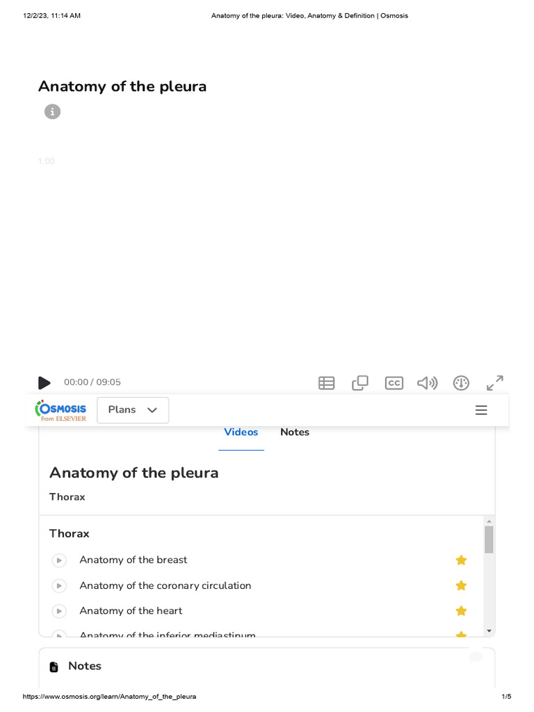 Anatomy of The Pleura - Video, Anatomy & Definition - Osmosis | PDF ...
