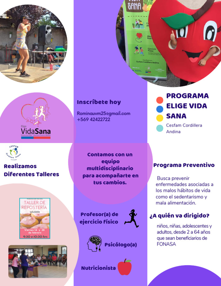 Triptico Vida Sana | PDF