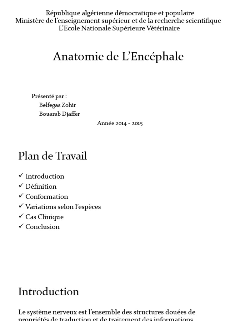 Anatomie de L'encephale Exps - 060659 | PDF | Système nerveux central ...