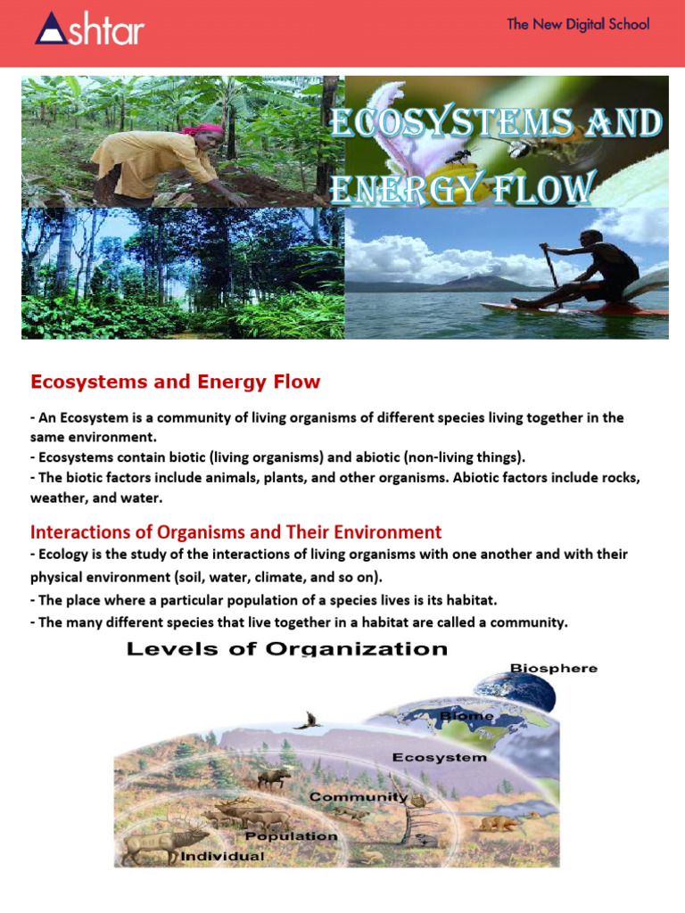 Interactions of Organisms and Their Environment: Ecosystems and Energy ...