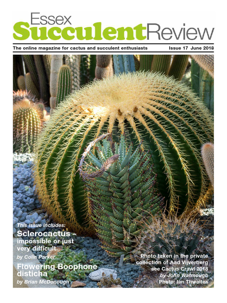 CSR June 2018 | PDF | Flowers | Seed