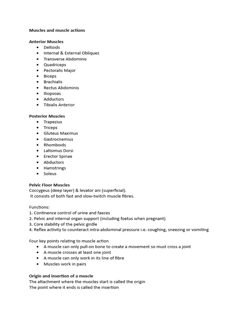 Muscles + Energy Systems A&P | PDF | Muscle Contraction | Skeletal Muscle