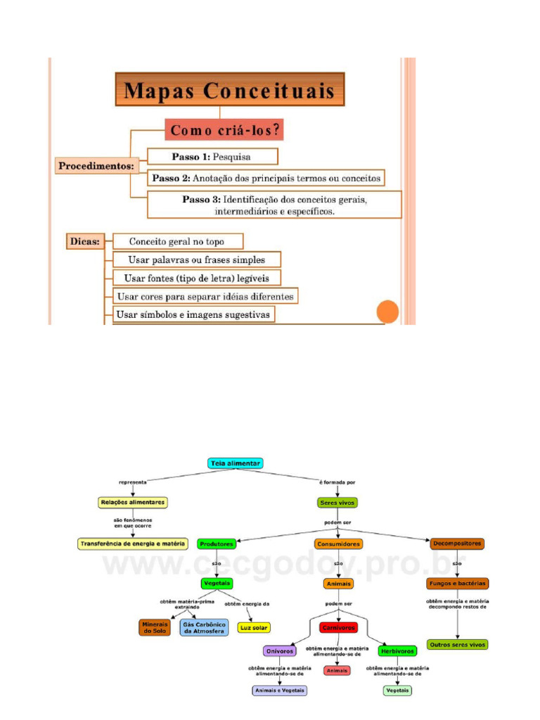 Mapa Conceitual | PDF