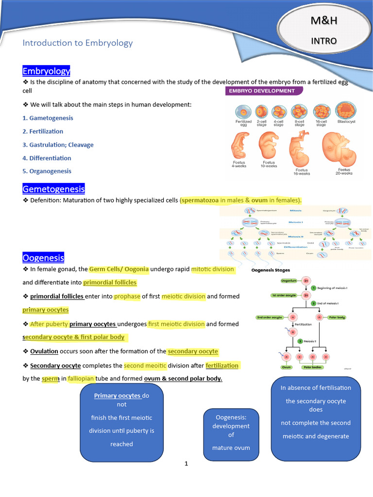 Introduction To Embryology | PDF | Meiosis | Fertilisation