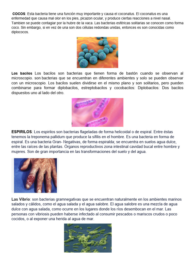 COCOS bacterias | PDF