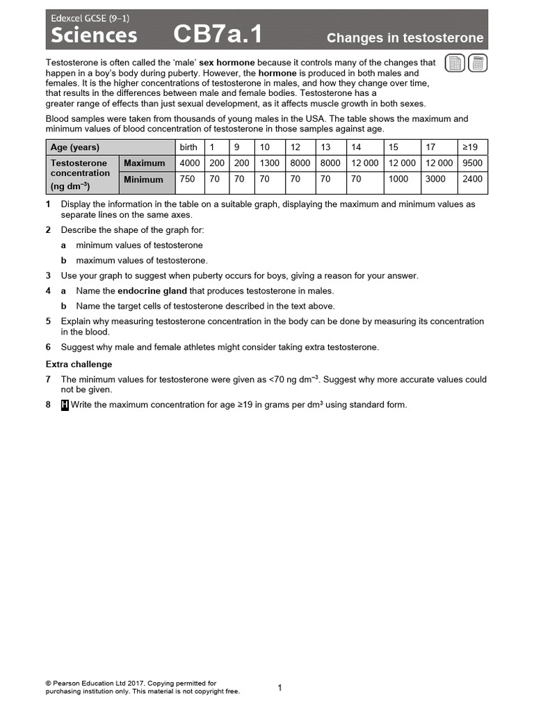 CB7 All Sheets | PDF | Testosterone | Puberty