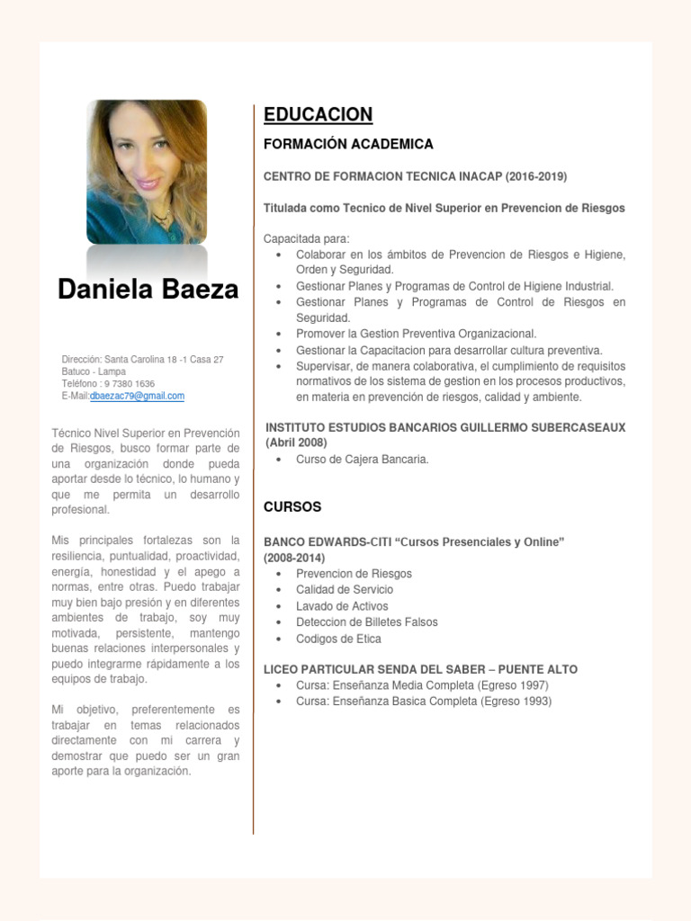 Perfil Profesional de Daniela Baeza | PDF