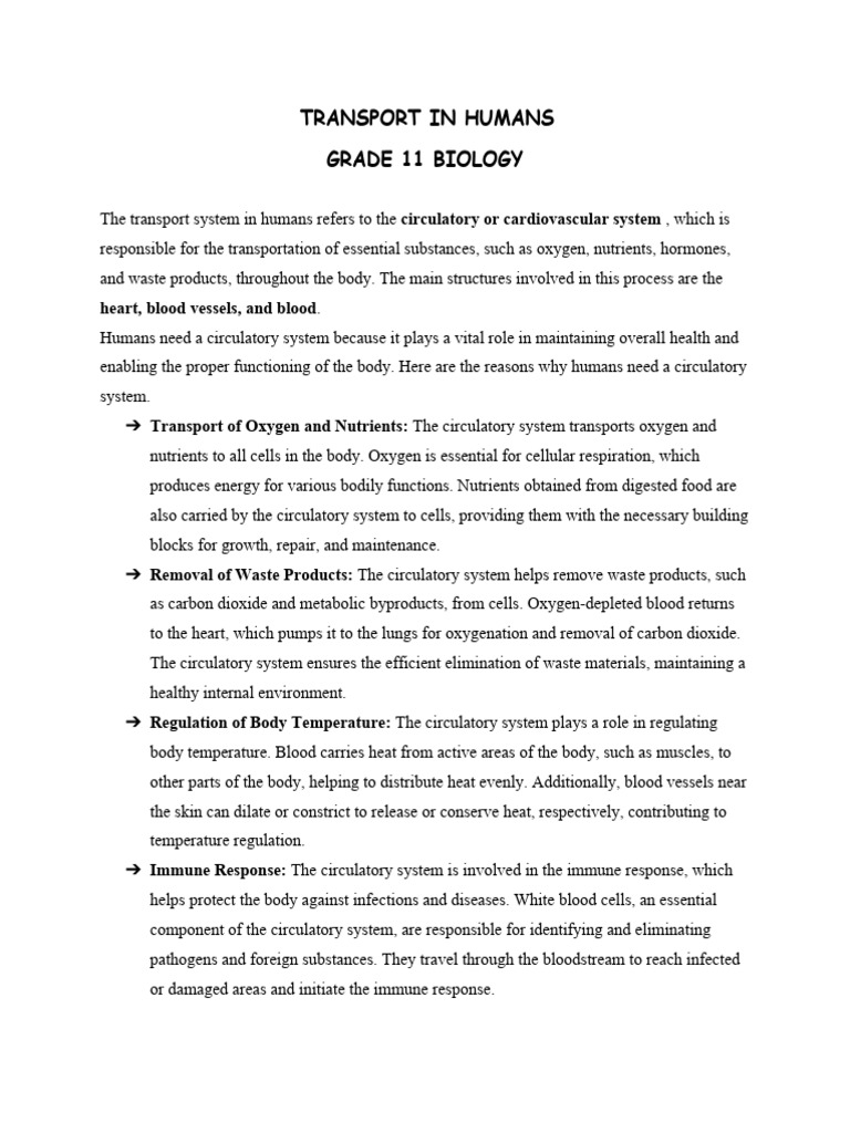 Transport in Humans | PDF | Ventricle (Heart) | Heart Valve