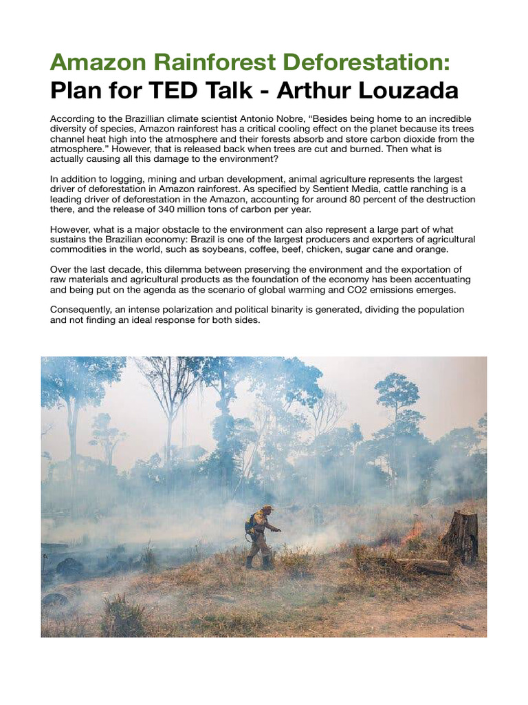 Amazon Rainforest Deforestation | PDF | Amazon Rainforest | Deforestation