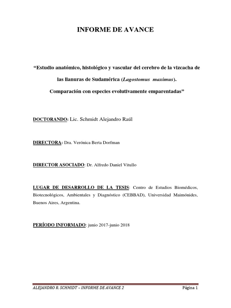 INFORME DE AVANCE 2 Alejandro Schmidt FINAL | PDF