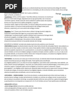 Membranas Faríngeas | PDF | Oído | Membrana mucosa