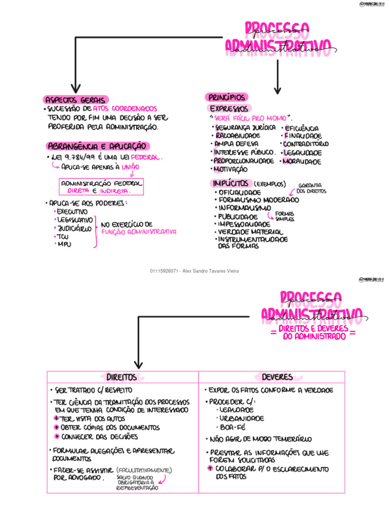 mapa-mental-processo-administrativo | PDF