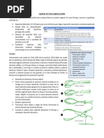 Tipos e Indicaciones de Fórceps Obstétricos | PDF | Parto | Embarazo humano