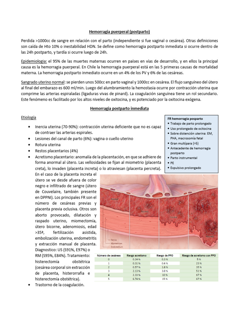 Hemorragia Puerperal: Causas y Manejo | PDF | Parto | Obstetricia