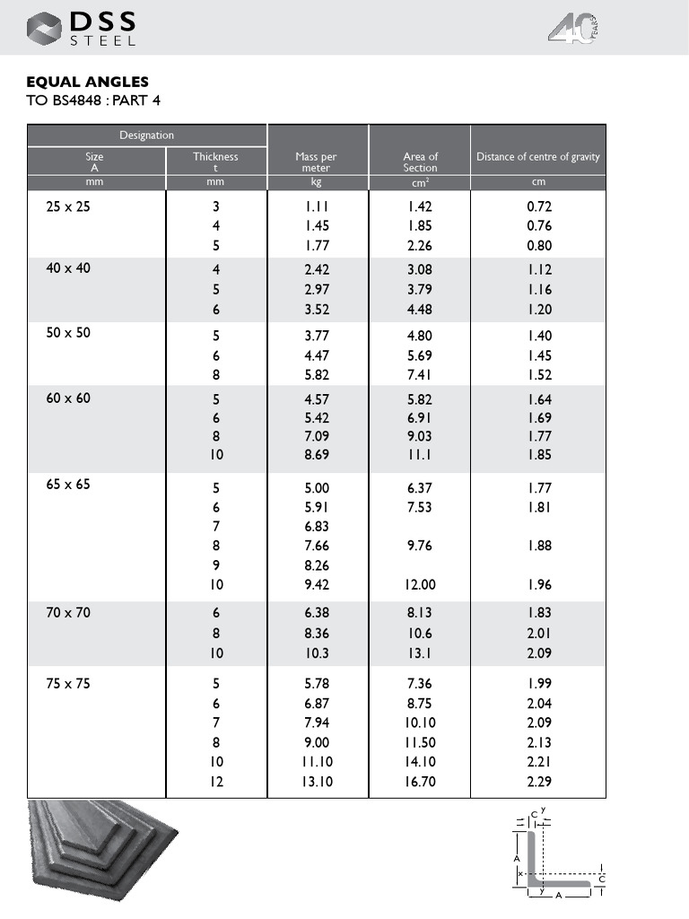 JIS steel section (Equal Angle) | PDF | Applied And Interdisciplinary Physics | Physics