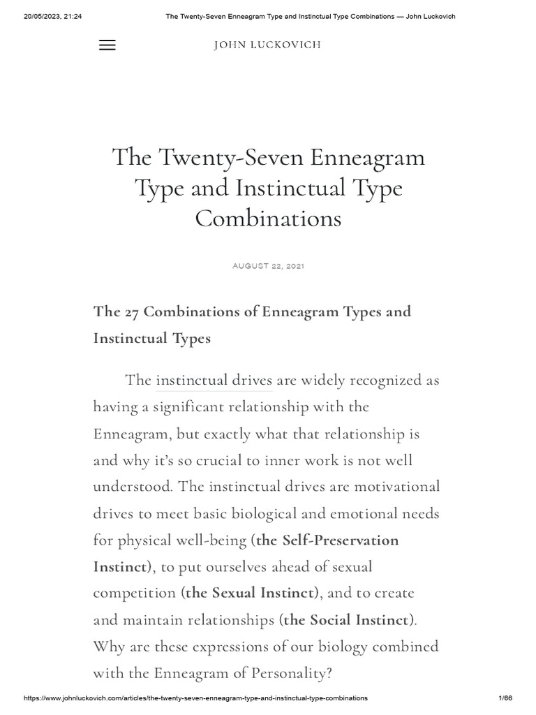 The Twenty-Seven Enneagram Type and Instinctual Type Combinations ...