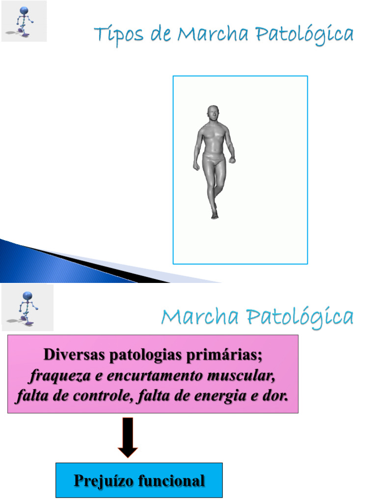 Marcha Patológica | PDF | Músculo esquelético | Anatomia humana