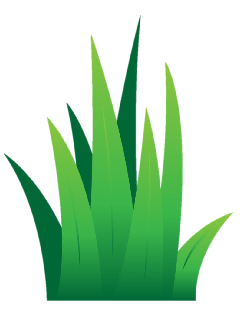 Grass Decor | PDF