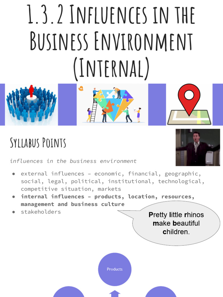 1.3.2 Influences in The Business Environment (Internal) | PDF | Business