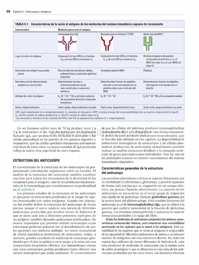 Capitulo 5 Anticuerpos | PDF