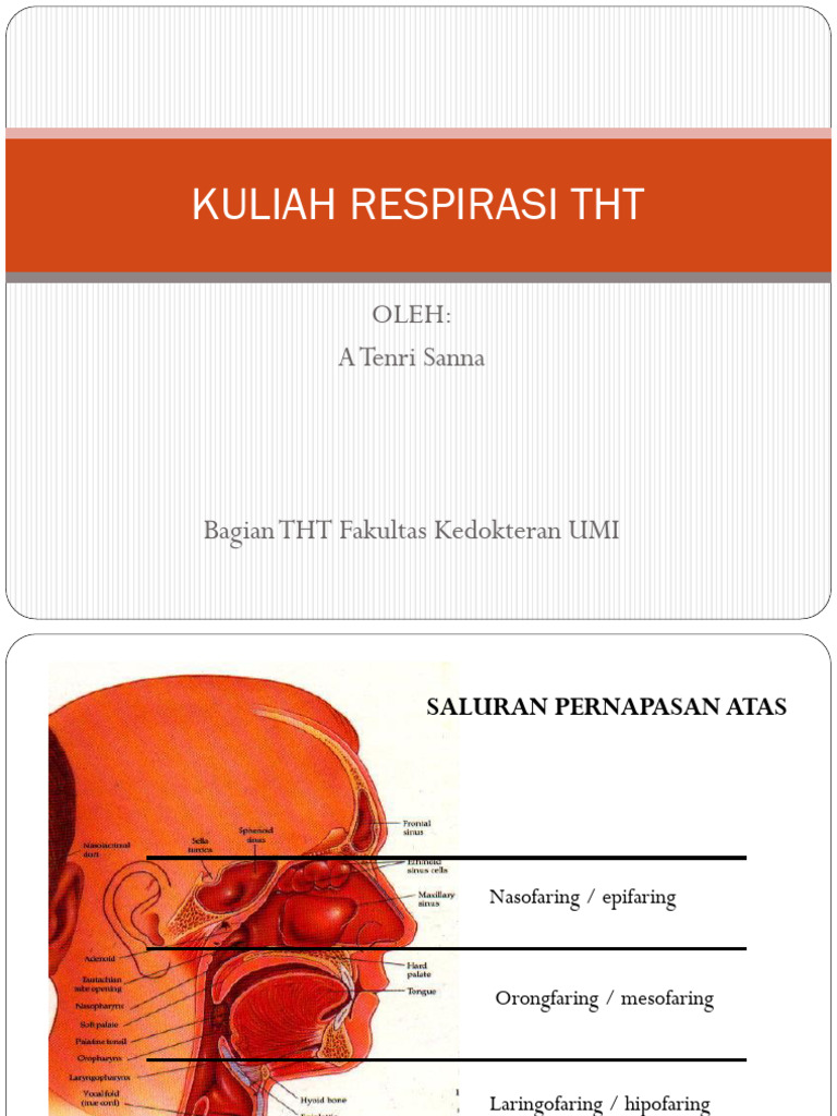 Hipertrofi Adenoid, Karsinoma Laring, Karsinoma Nasofaring, Trakeitis - Dr. A. Tenri Sanna, SP ...