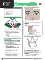 The Myasthenia Gravis Composite Score - MGC Score | PDF | Neurology ...