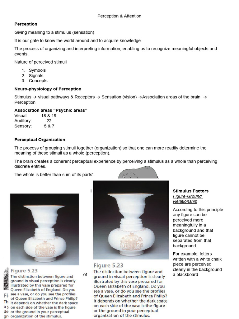 Perception | Download Free PDF | Perception | Attention