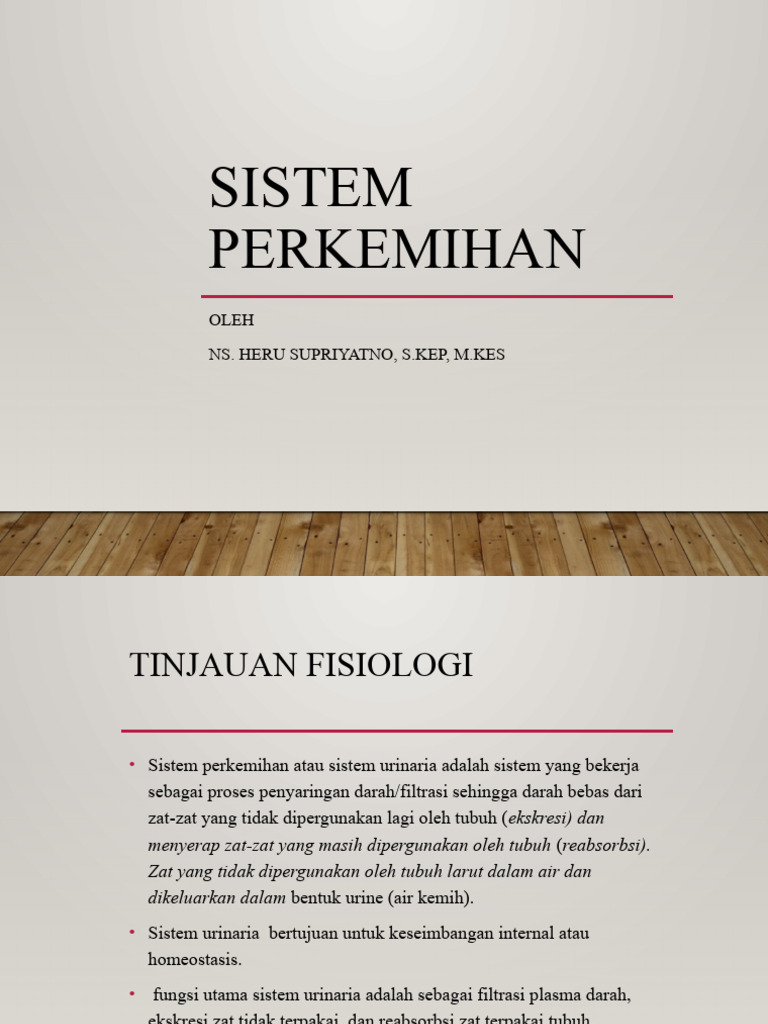 Sistem Perkemihan | PDF