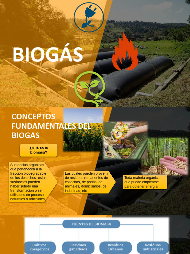 Exposición Sobre Biocombustibles | PDF | Digestión anaeróbica | Biogás