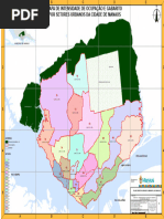 Mapa de Expansão Urbana de Manaus | PDF