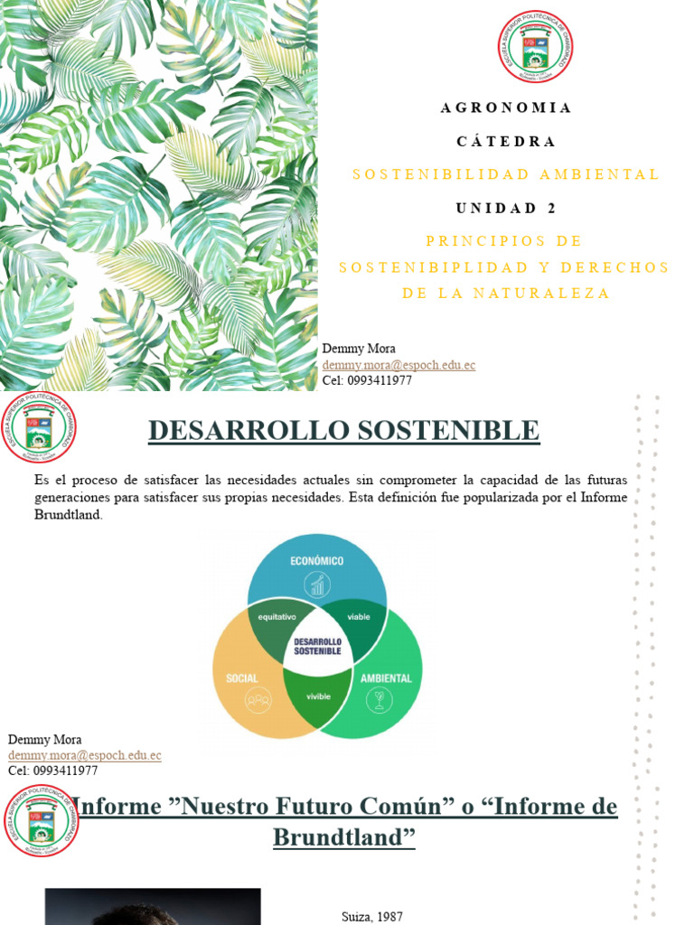 DESARROLLO SOSTENIBLE | PDF | Sustentabilidad | Desarrollo sostenible