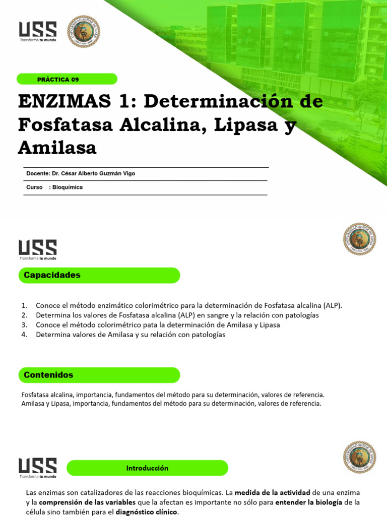 PRÁCTICA 9 Fosfatasas, Amilasa y Lipasa | PDF | Enzima | Cáncer
