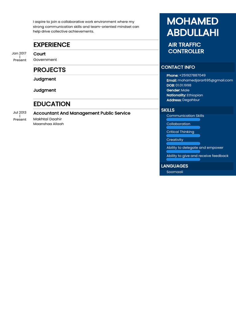 Mohamed - Resume - 807 | PDF