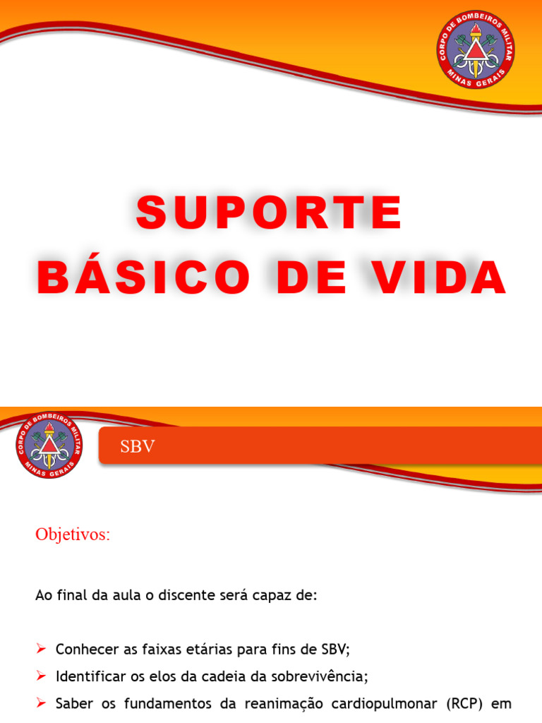 Suporte Básico de Vida | PDF