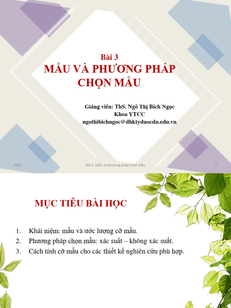 Mau PP Chon Mau NGOC | PDF
