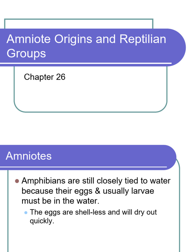 26 - Reptiles | PDF | Reptile | Snake