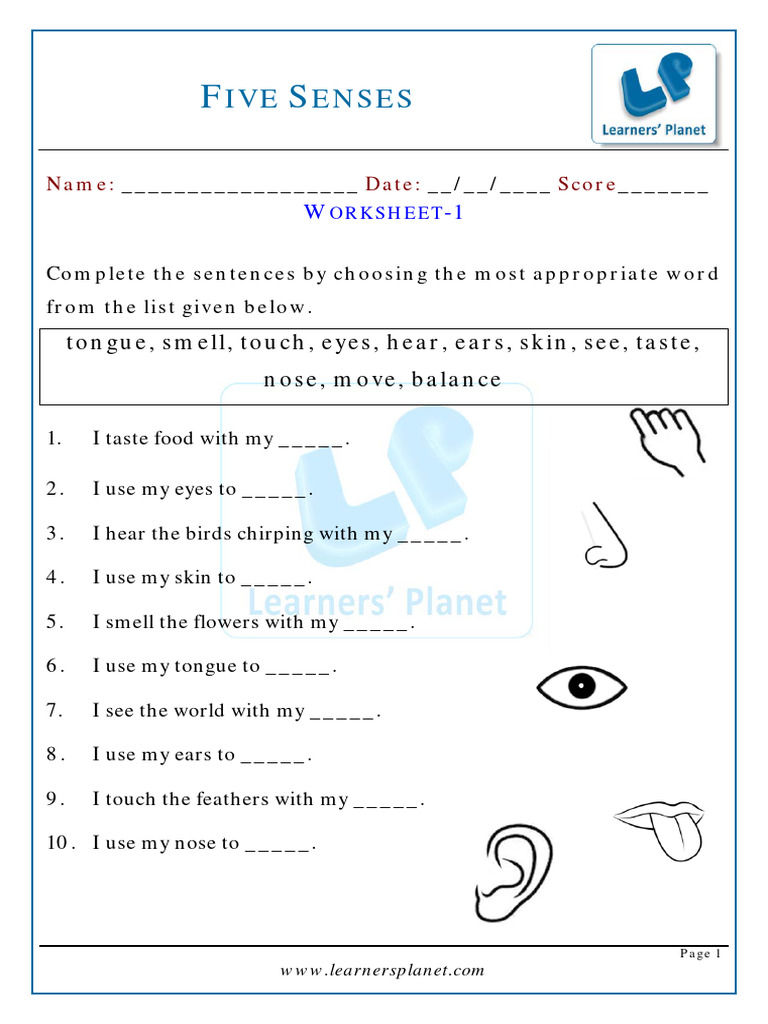 Five Senses Worksheet-1 | PDF