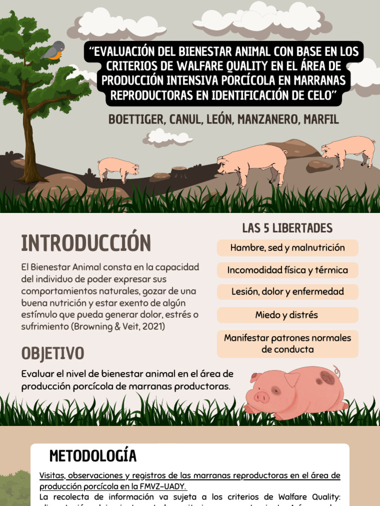 Green Colorful Illustration Guess The Animal Game Presentation | PDF ...